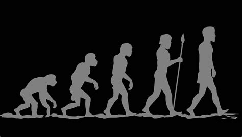 Section 1 Darwins Theory Of Evolution Nitty Gritty Science