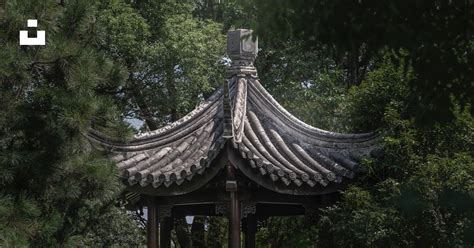 공원의 나무로 둘러싸인 전망대 사진 Unsplash의 무료 숲 이미지