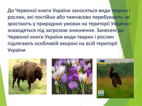 До Червоної книги України заносяться види тварин і рослин які постійно