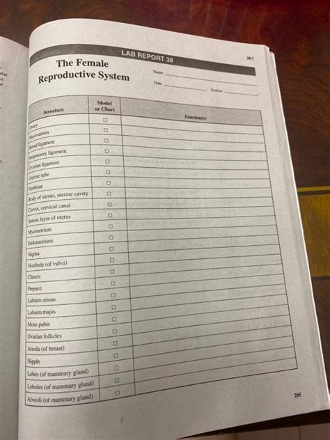 Solved LAB REPORT 37 The Male Reproductive System 39 7 Name Chegg Com