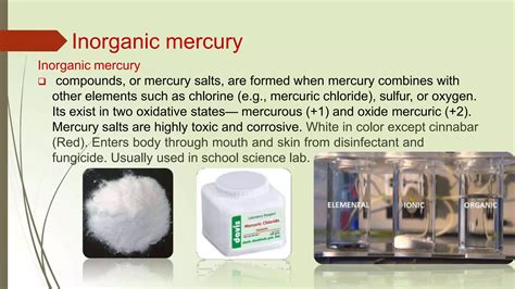 Mercury Toxicity Pptx