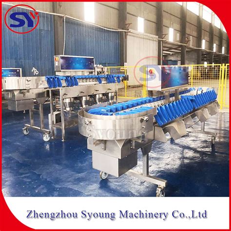 Poultry Fresh Legs Weight Sorting Sizing Machine Shrimp Grading