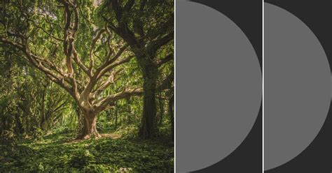 List Anomolydetection Curated By Zineng Yuan Medium