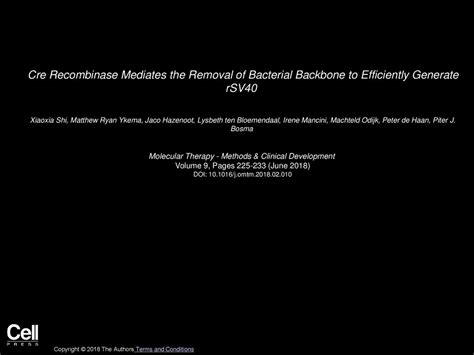 Molecular Therapy Methods And Clinical Development Ppt Download