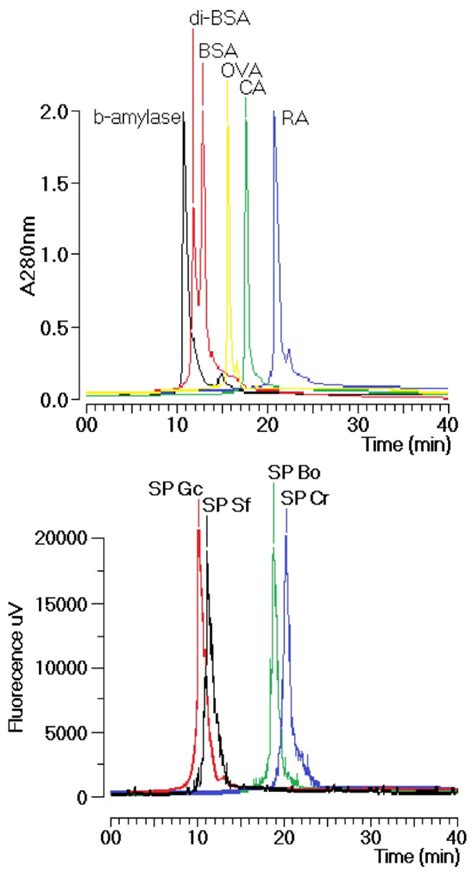 Chromatographic Profile Of The Size Exclusion Fractionation Of Sulfated Download Scientific