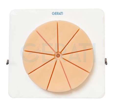 Multilline Gynecology Artificial Laparoscopic Suturing Pad Gerati