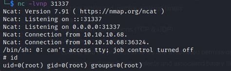 Root Shell All About Testing