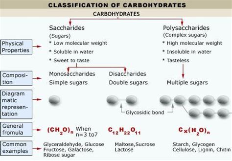 8 Carbohydrates Ideas Carbohydrates Nutrition Good Carbs