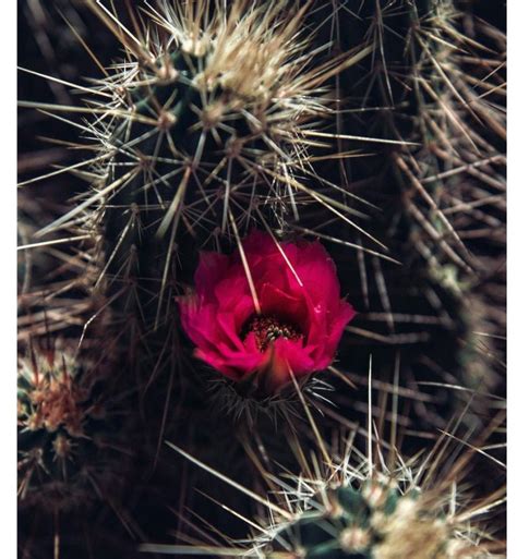 Alain Airom On Linkedin Domain Adaptation Of A Large Language Model