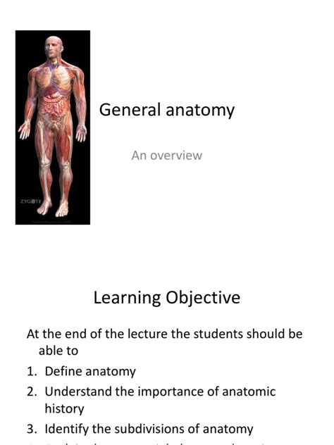 Pdf 1 General Anatomy And Planes Dokumen Tips