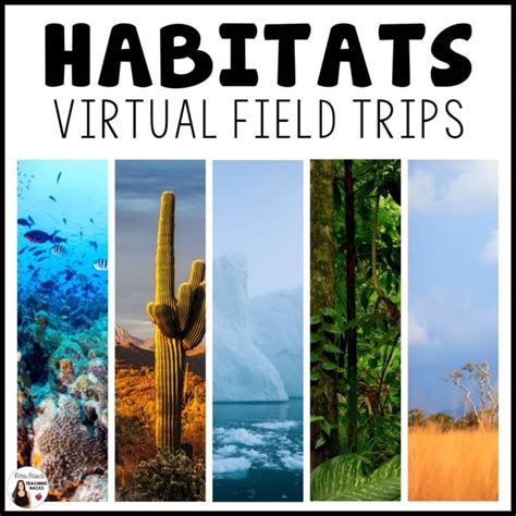 Habitats Virtual Field Trips Ocean Rainforest Arctic Desert