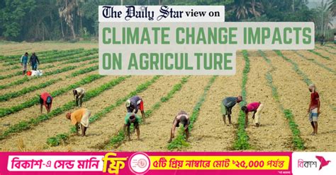 Agriculture Must Adapt To Climate Change The Daily Star