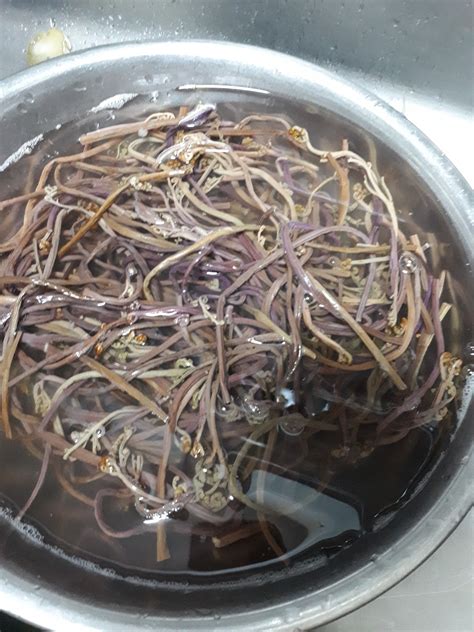 명절나물반찬~삼색나물인 고사리볶음