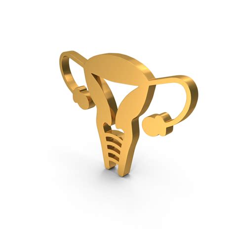 Female Medical Reproductive System Icon Png Images And Psds For Download