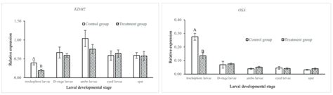 Comparison Of The Expression Of Epigenetic Regulator Genes Between