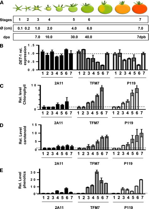 Figure 1 From Integrative Transcript And Metabolite Analysis Of