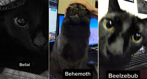 Belial Behemoth Beelzebub Year Zero Ghost Trend Know Your Meme