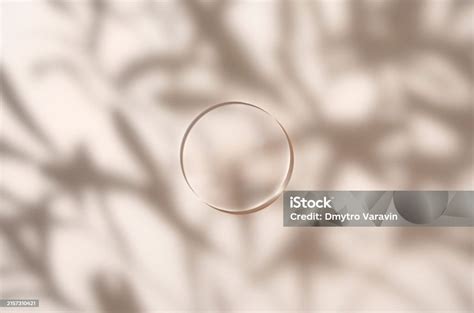 나뭇잎 그림자가 있는 베이지색 배경에 빈 원형 유리 연단으로 만든 화장품 프레젠테이션 모형 장면 느긋한 여름 무드의 구성 건설 플랫폼에 대한 스톡 사진 및 기타 이미지