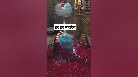 हर हर महादेव सबकी मनोकामना पूरी करो महादेवviralvideo ओम नमः शिवाय हर
