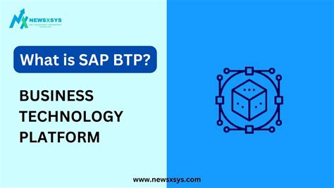 Btp Solution Provider In India Newsxsys Technologies