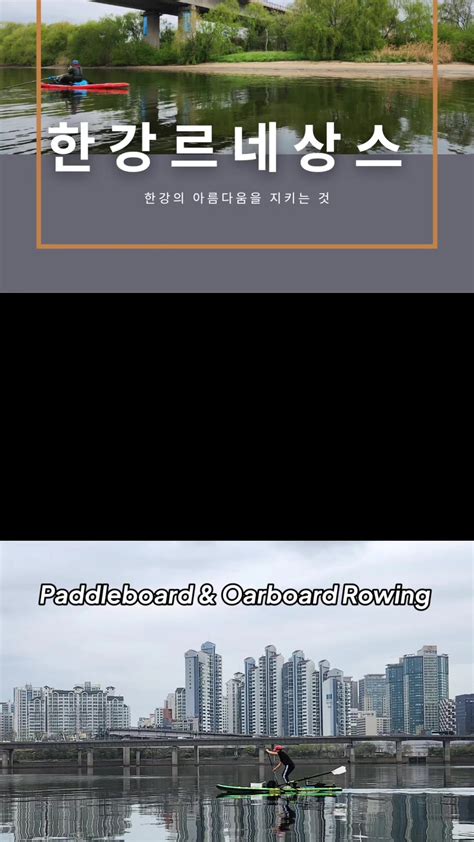 한강에서 314주째 레저조정보트 오어보드로잉 노젓기 운동을 하는 한강조정동호회 한강을한강답게즐기자 한강 지킴이 자원
