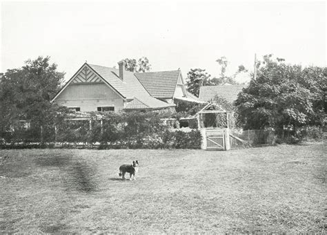 The Warrah Estate Archives