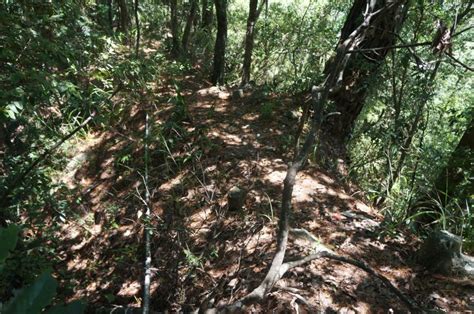 探勘台中市和平區上谷關山群峰 健行筆記