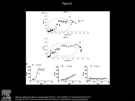 Dynamical System Modeling Of Immune Reconstitution After Allogeneic