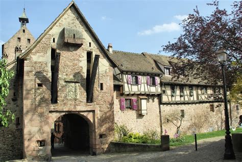 무료 이미지 나무 하늘 건물 샤토 성 정면 강화 중세 건축 시원한 이미지 그림 같은 역사 대사원 재산 멋진 사진 가동교 망대 스터드 알자스