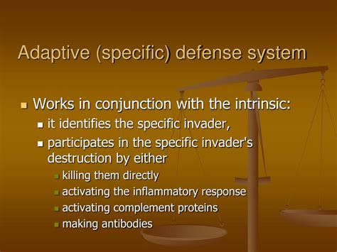 Ppt Immune System Powerpoint Presentation Free Download Id1746774