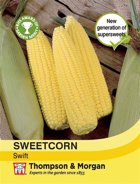 Thompson And Morgan Sweetcorn Swift 30 Seed Justseed