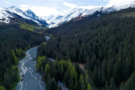 Secrets Of Alaskas Chilkat Trails Touristsecrets