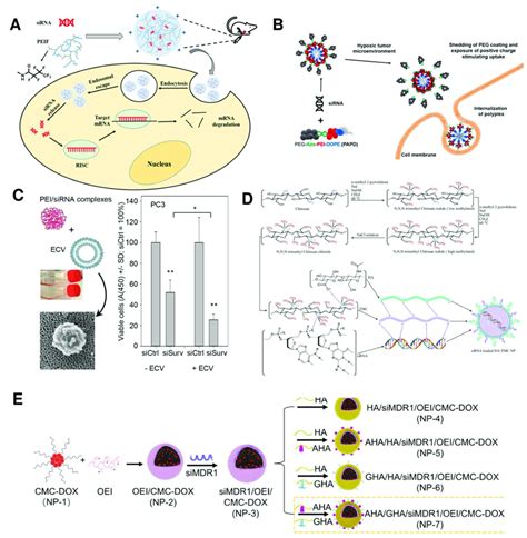 A The Formation Process Of Peifsirna Complex And Its Application In