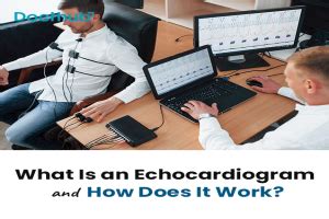 What Is An Echocardiogram And How Does It Work