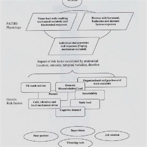 Kumar 2001 Multi Variate Interaction Theory Of Musculoskeletal Injury