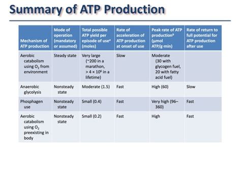 Energy Metabolism Ppt Flashcards Quizlet
