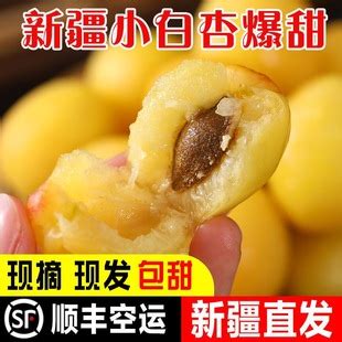 正宗新疆小白杏轮台杏子库车甜杏现摘当季新鲜整箱孕妇水果空运 阿里巴巴