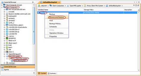 Restore Openvms File System Idataagent