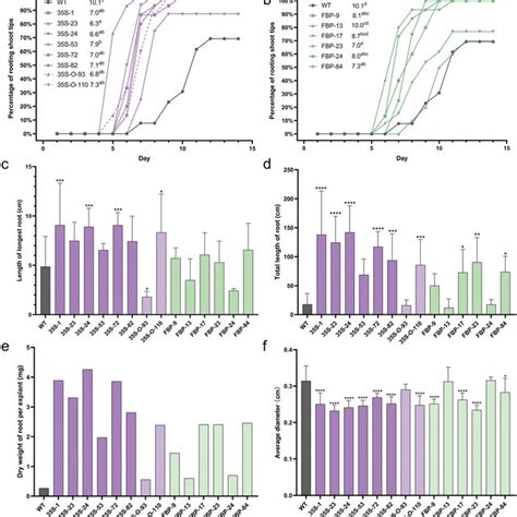 Gene Expression In Petal Of Flowers In The Longevity Experiment