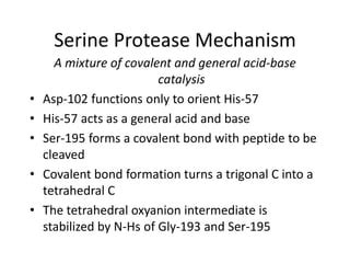 Serine Proteases PPTX