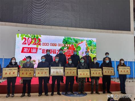 草莓盛宴！我区举办第八届“北京草莓之星”评选暨第三届昌平草莓节启动仪式活动