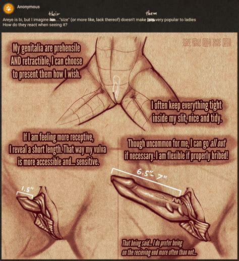 Rule 34 Anatomy Animal Genitalia Anthro Areye Artist Ask Blog