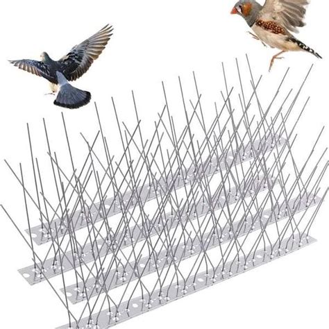 Morceaux De Pointes Pour Oiseaux En Acier Inoxydable Pointes Pour