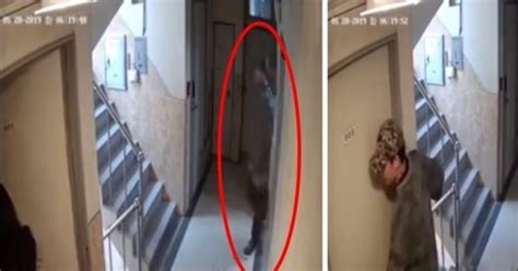신림동 강간미수 30대 주거침입·강간미수 혐의로 구속영장 신청돼