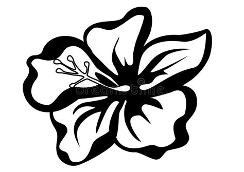 Ejemplo Del Vector De La Silueta De La Flor Del Hibisco Ilustración Del