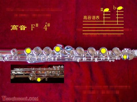 长笛指法图，史上最直观的长笛入门指法图 乐器学习网
