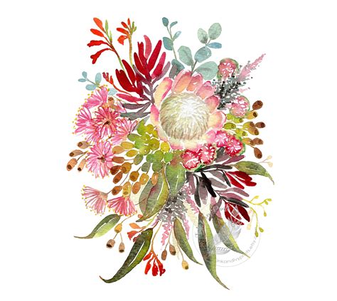 Australian Flowers Art Print Native Aussie Flora Wall Decor Protea