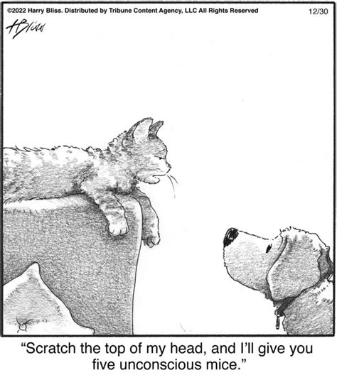 Scratch The Top Of My Head…