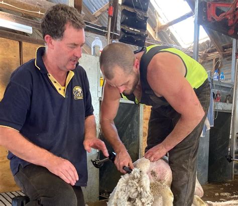 Gilgandras Champion Wool Classer