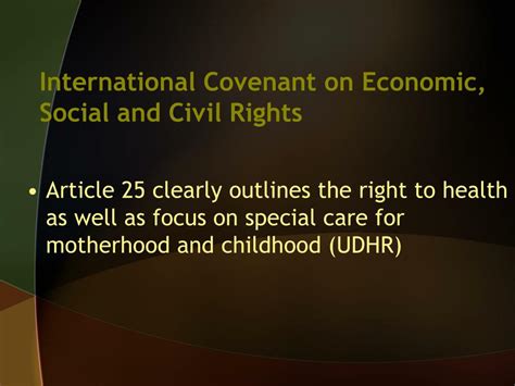 Ppt The Human Rights Perspective In Health Social Work Powerpoint